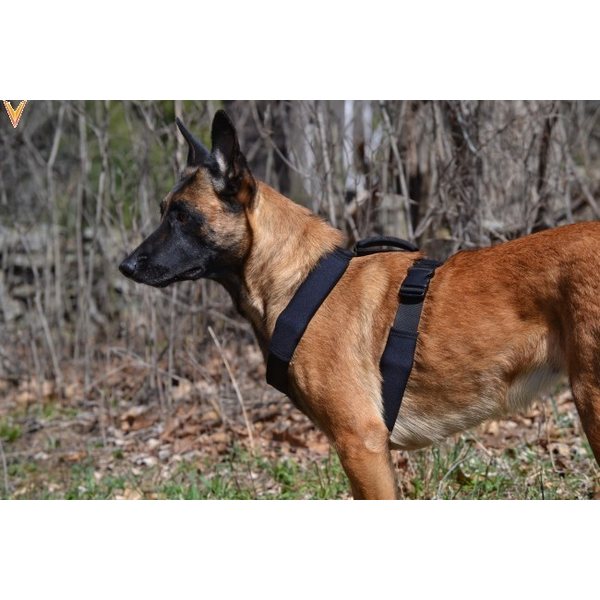 Velocity Systems Nylon Tracking Harness | Koiravaljaat | Viranomainen.fi